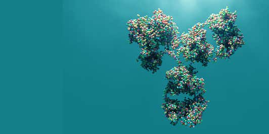 Multi-angle dynamic light scattering (MADLS) | Malvern Panalytical